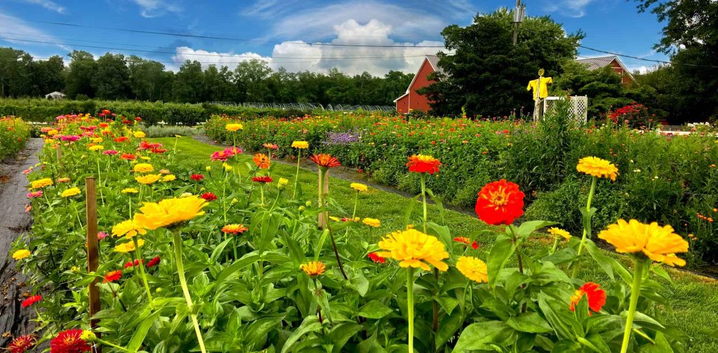 Farms and Orchards - Discover Central New Jersey