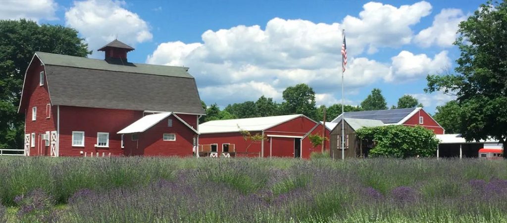 Farms and Orchards - Discover Central New Jersey